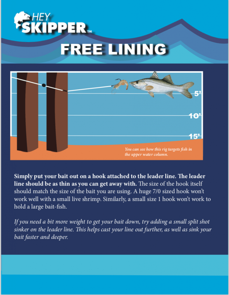 Pier Fishing Rigs and Tactics: 4 Proven Methods to Catch MORE Fish ...