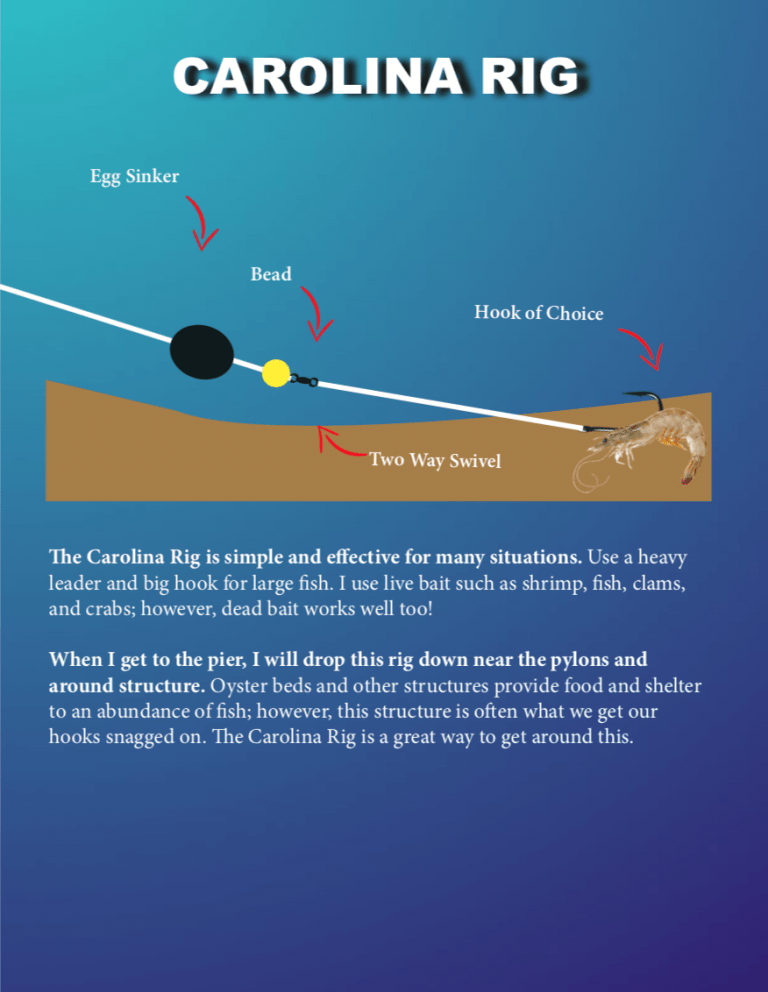 Pier Fishing Rigs and Tactics: 4 Proven Methods to Catch MORE Fish ...