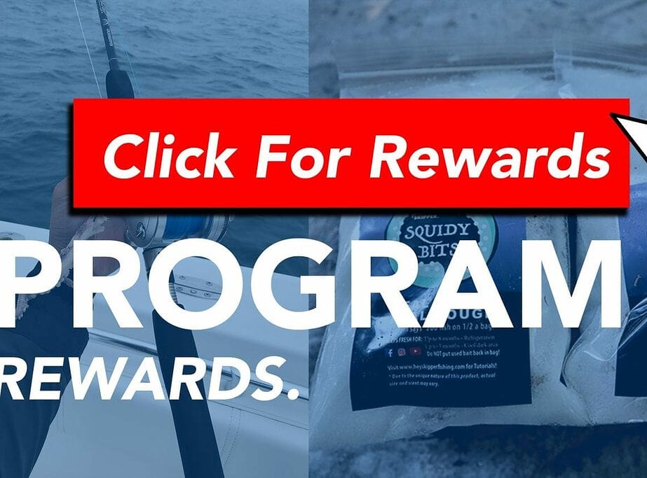 Hey Skipper - Connecting the digital and outdoor worlds