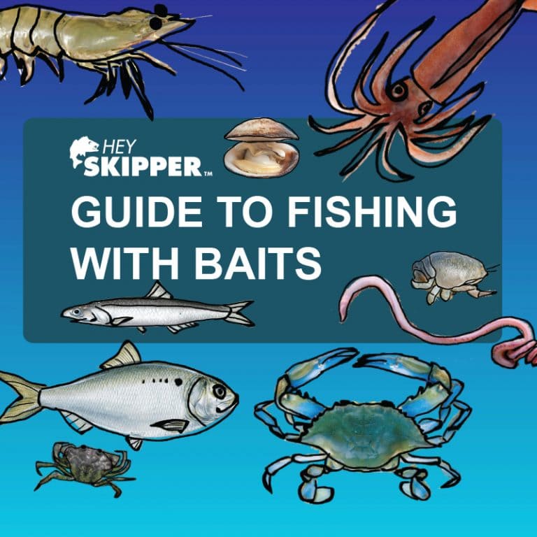 Pier Fishing 101- Fishing Rigs, Baits, Tackle and More! – Hey Skipper