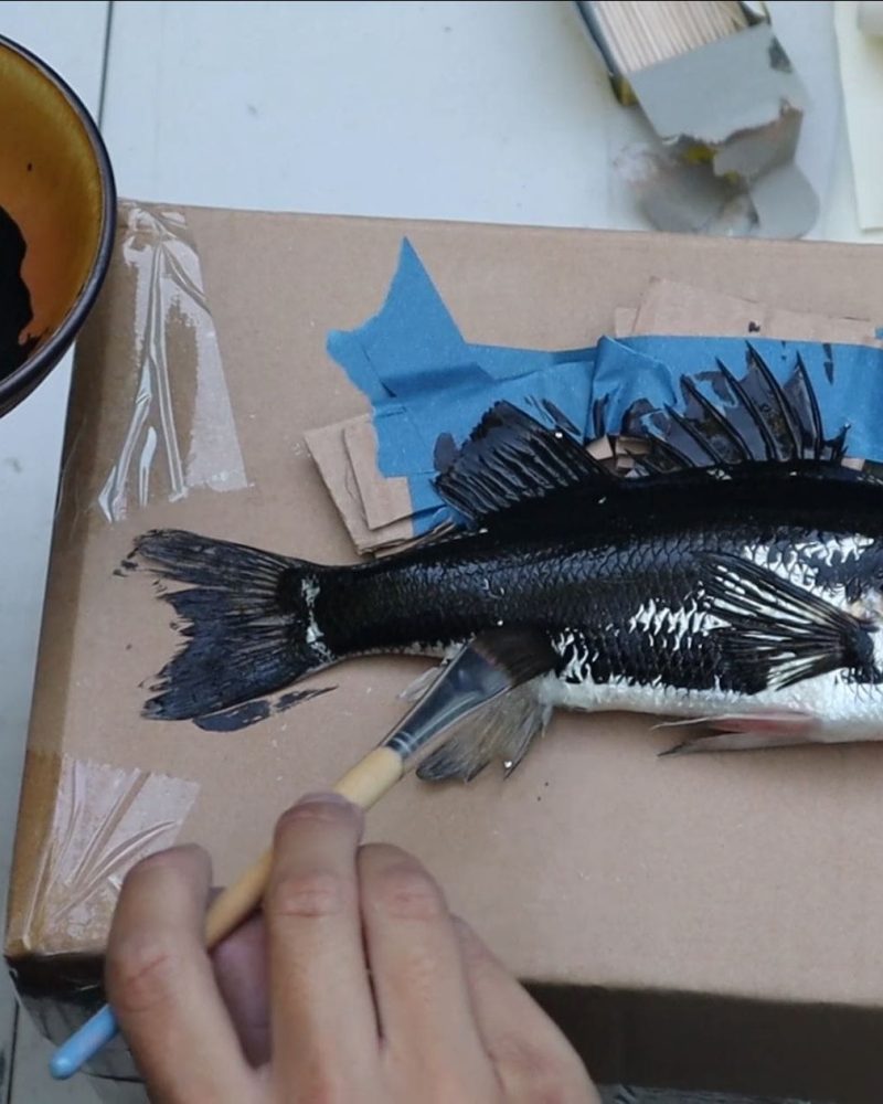 How to Gyotaku make an original fish print – Hey Skipper