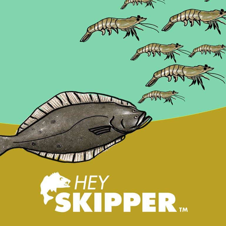 T-KNOT Fishing Rig Guide | Hey Skipper