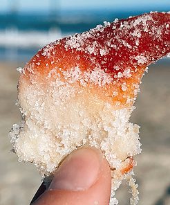 Clammy Bits- Salted Clam- Fishing Bait by Hey Skipper Salted Clam Bait ...