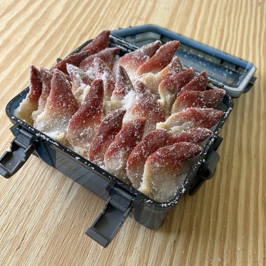 Hey Skipper - Connecting the digital and outdoor worlds