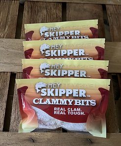 Hey Skipper - Connecting the digital and outdoor worlds