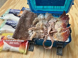 Hey Skipper - Connecting the digital and outdoor worlds