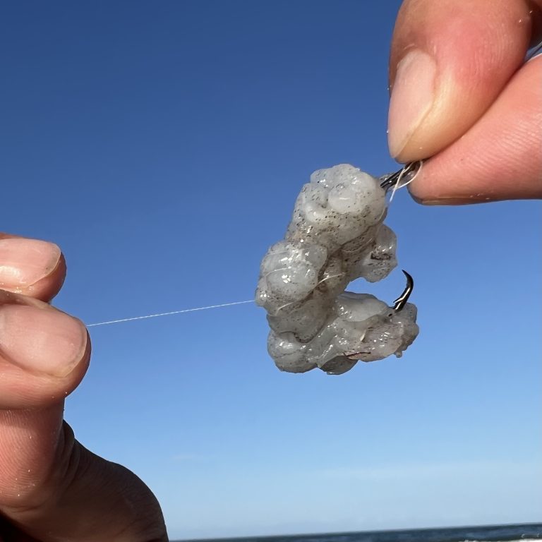 Invisi-Thread | Bait Elastic / Bait Saver - Hey Skipper