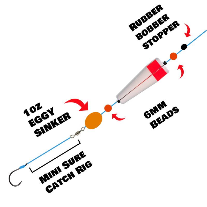 Shop All - Hey Skipper