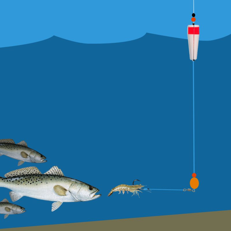 Popping slip float rig Kit – Hey Skipper